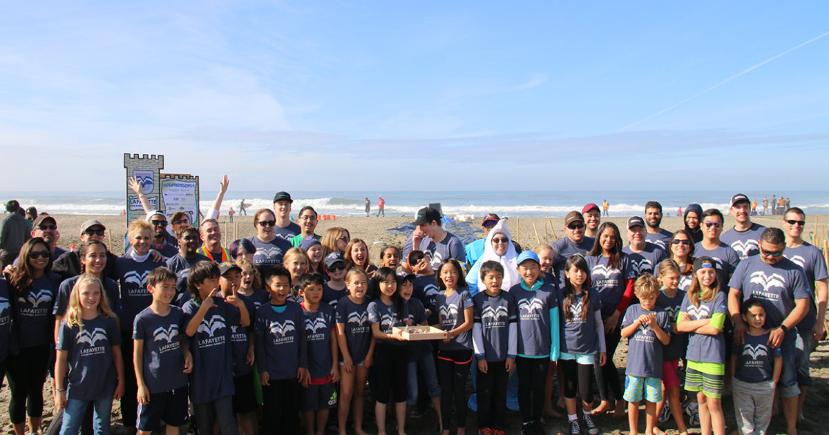 Interface Engineering | Interface Engineering Participates in 2017…