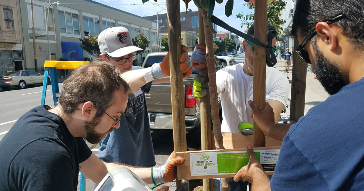 Interface Engineering | Tree Planting in San Francisco
